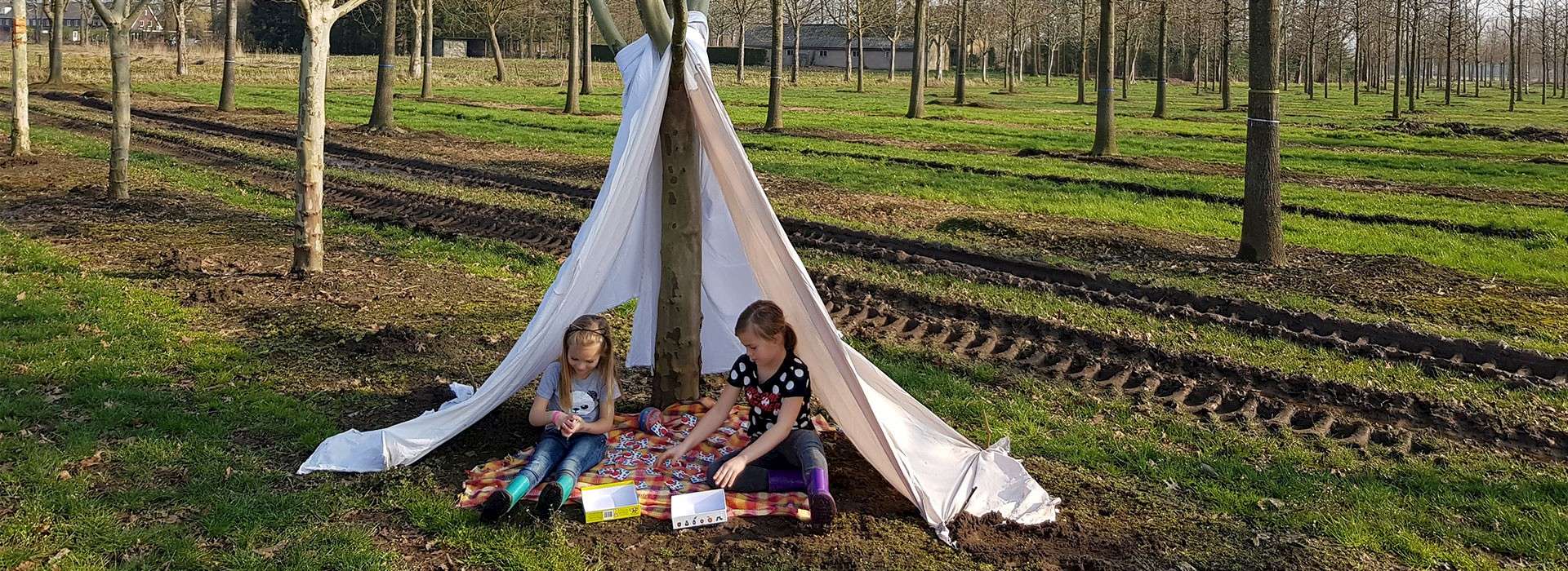 Stromy pro dětská hřiště